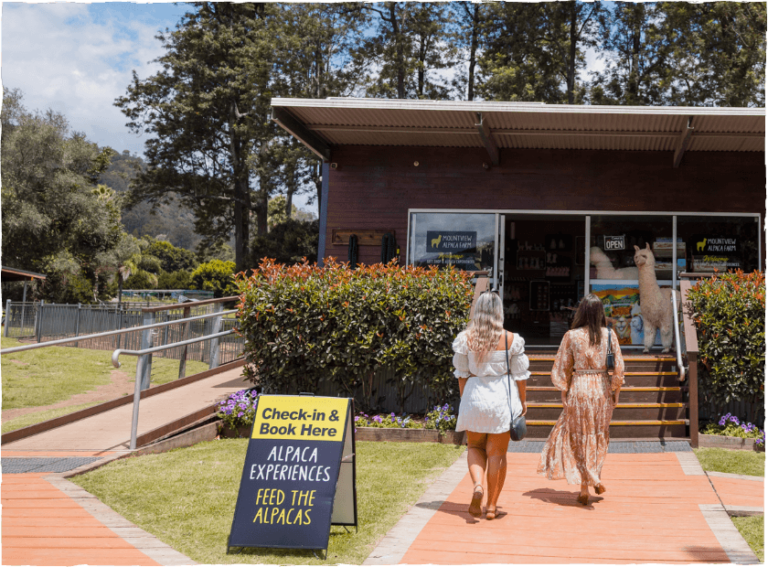 Visit Us at Mountview Alpaca Farm - Easy Directions & Tips