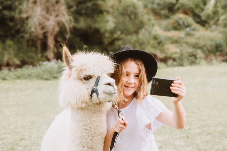 Experiences - Mountview Alpaca Farm