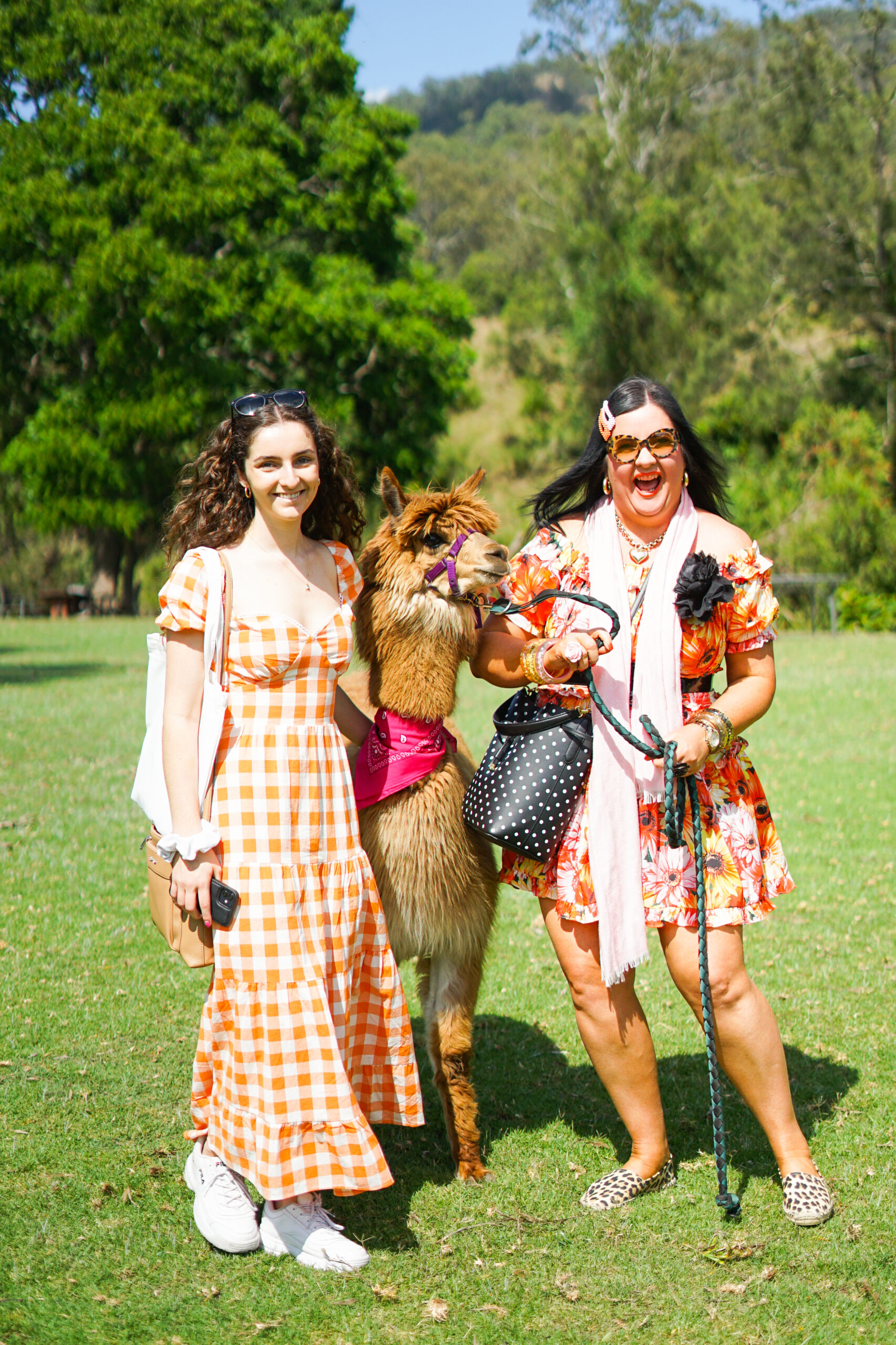 Experiences - Mountview Alpaca Farm
