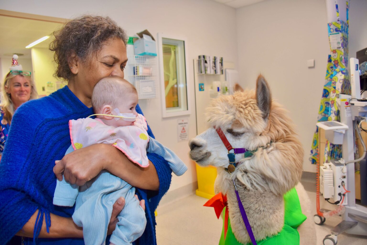 Alpaca Therapy Sessions | Mountview Alpaca Farm