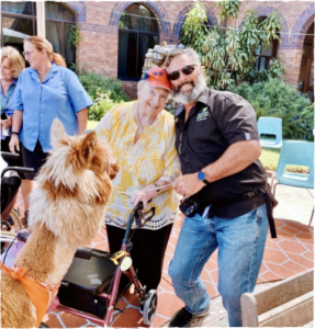 Alpaca Therapy Sessions | Mountview Alpaca Farm