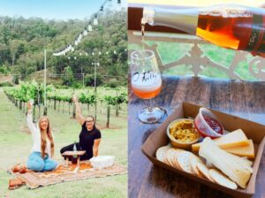 Experiences - Mountview Alpaca Farm