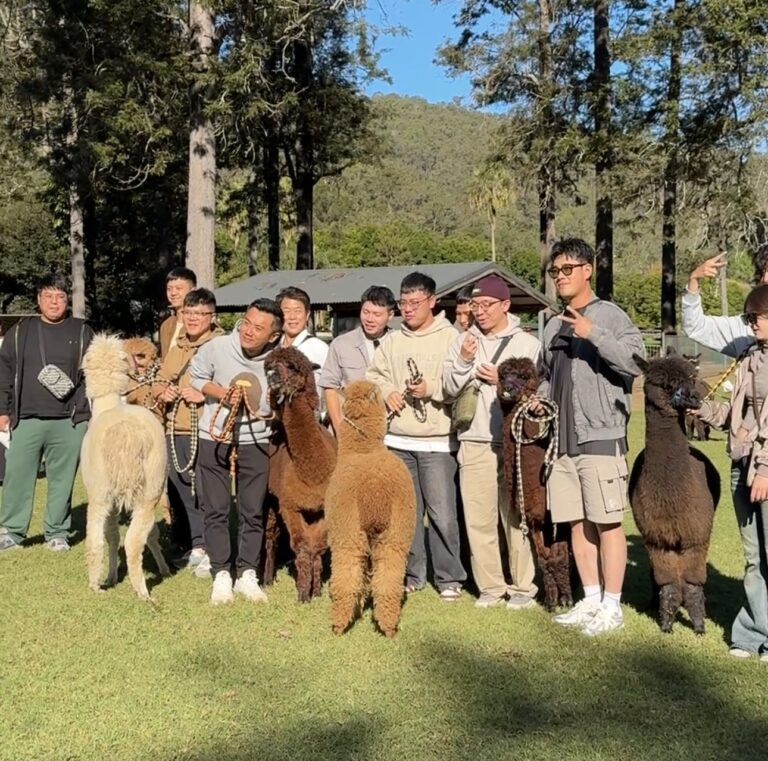 Experiences - Mountview Alpaca Farm